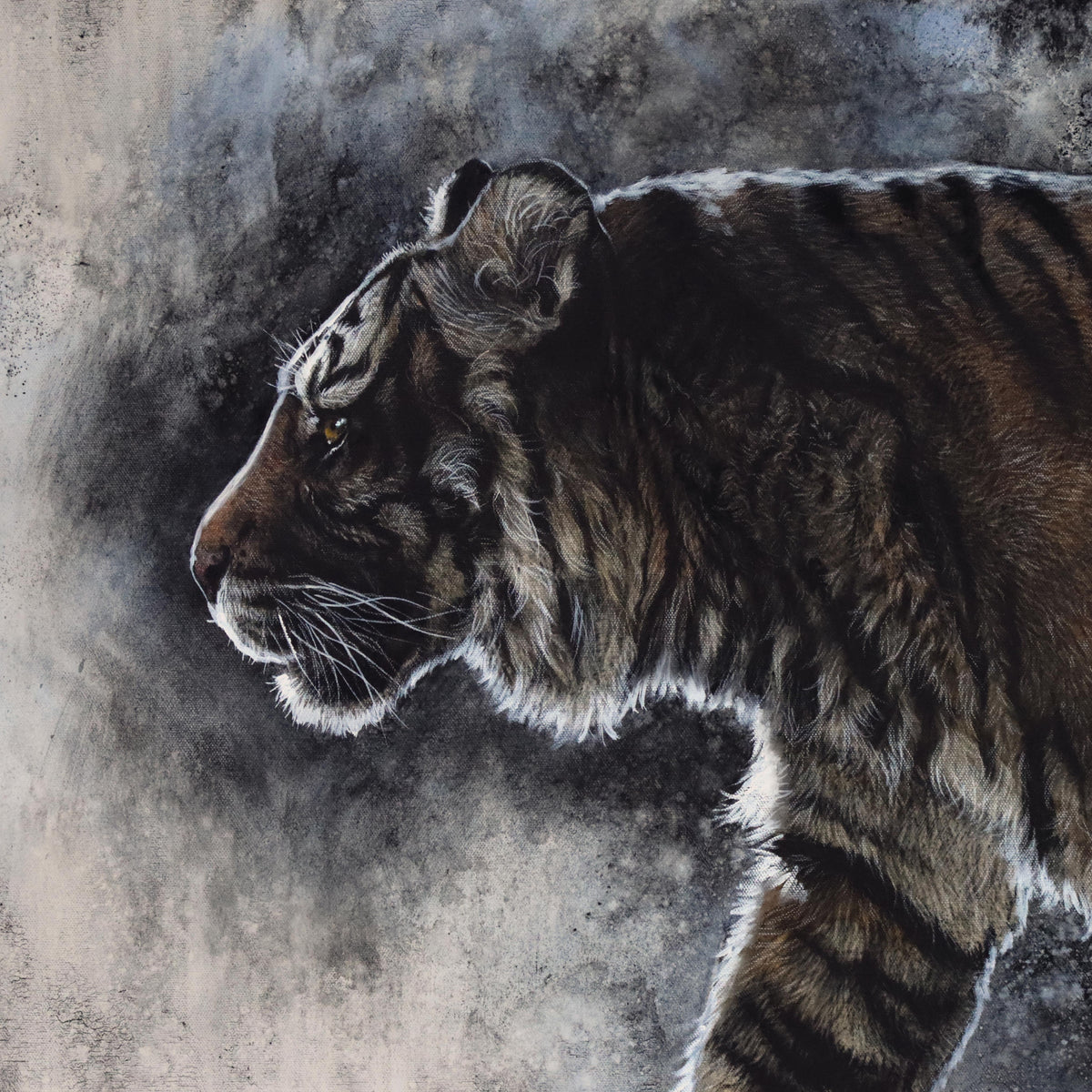 Daniel Wilson – Artists for Painted Dogs and other Wildlife