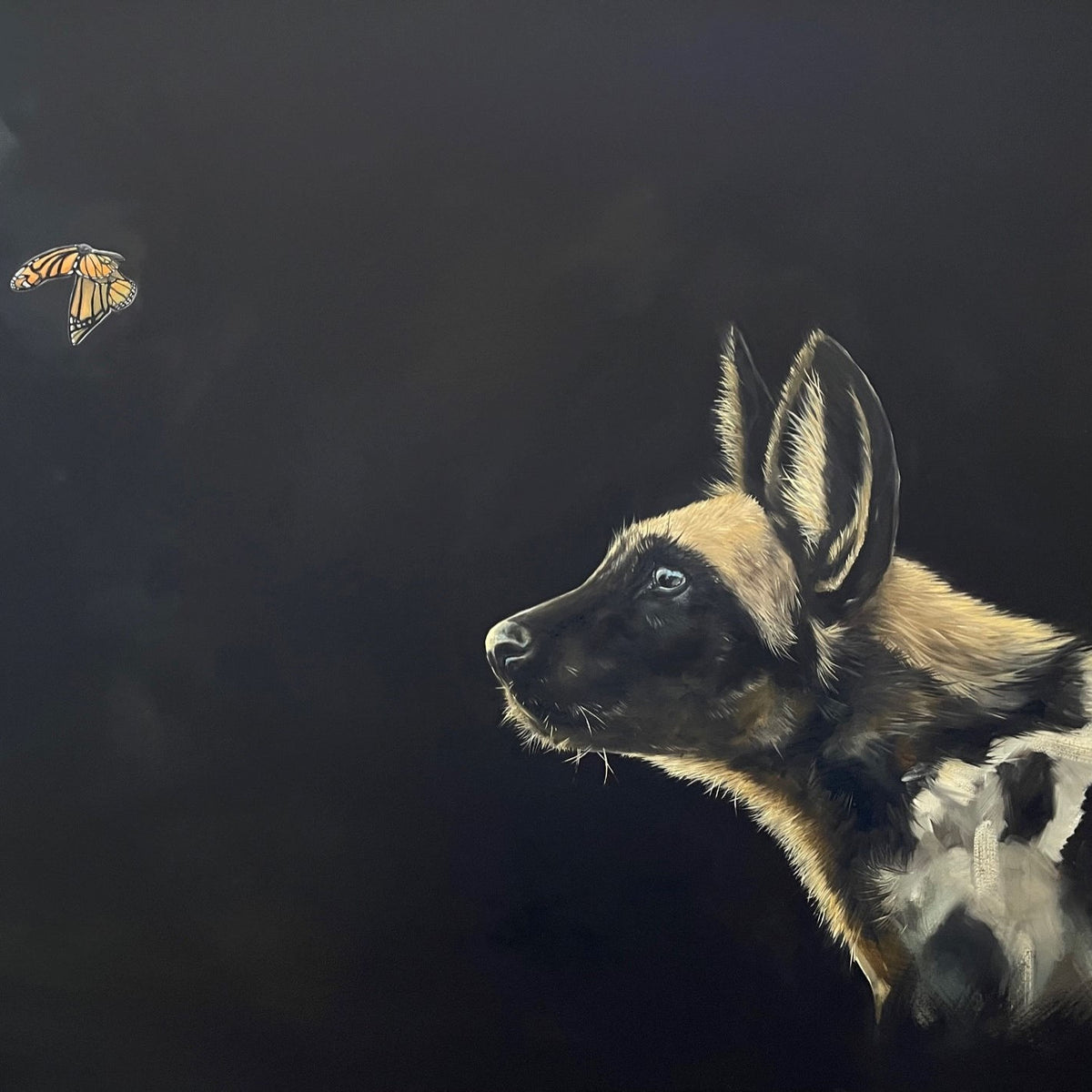Stephen Rew – Artists for Painted Dogs and other Wildlife