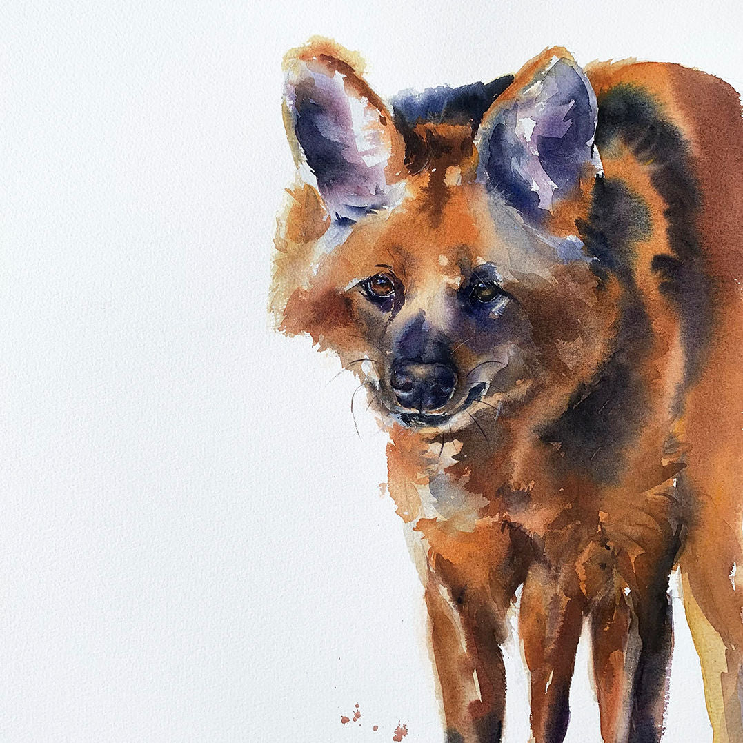 Lívia Gomez – Artists for Painted Dogs and other Wildlife