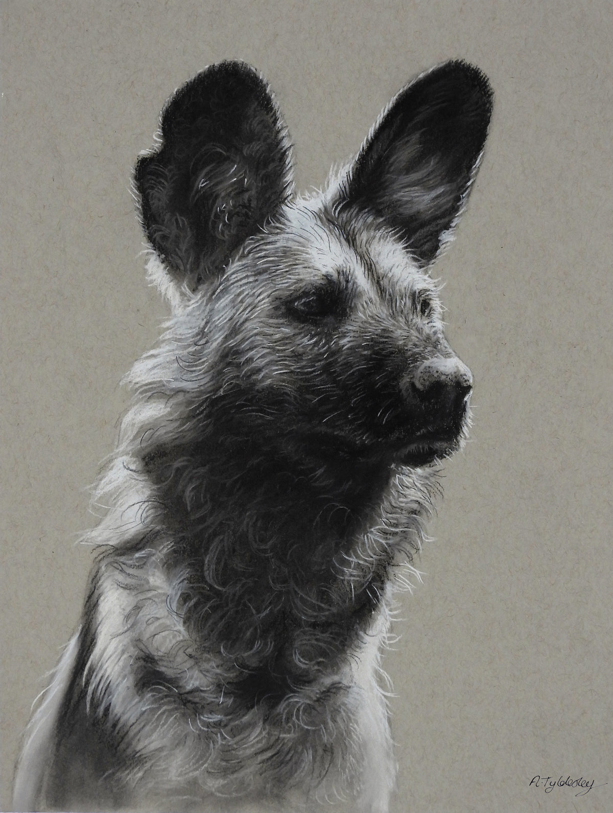 Amber Tyldesley - Always Alert Special Limited Edition Print – Artists ...