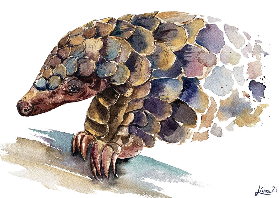 Lívia Gomez – Artists for Painted Dogs and other Wildlife